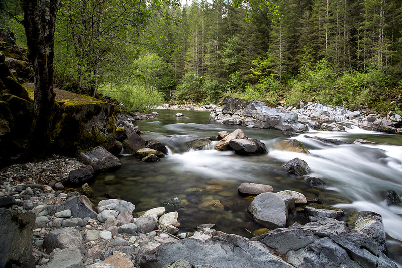 Oregon's Fall River Comeback | MidCurrent - FishKingsShow