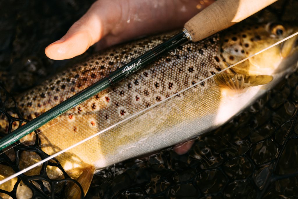 Winston's New Pure 2 Rods - FishKingsShow