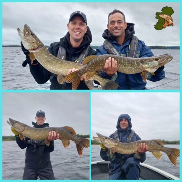 Metre pike for Dutch lure anglers in Boyle | Fishing in Ireland ...